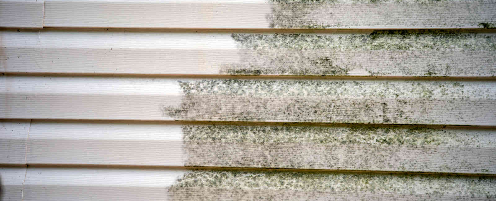 How to Talk to Your Clients About Exterior House Cleaning • SoftWash ...